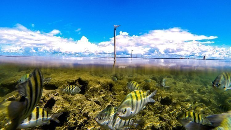 Parque Marinho do Recife de Fora | Luanda Turismo Náutico - Desde 1988