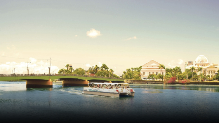 Catamaran Tours