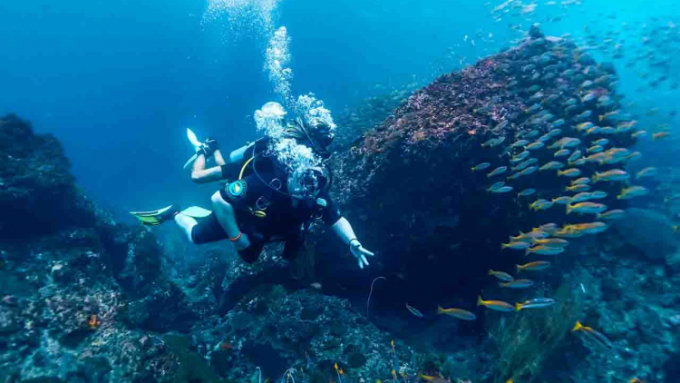 Mergulho em Phi Phi: batismo | Tailandiando | Passeios em Português