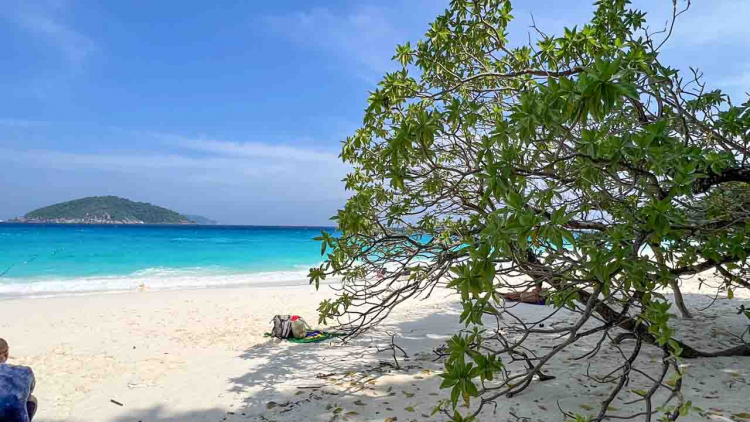 Passeio Similan Islands saindo de Phuket, Tailândia | Tailandiando ...