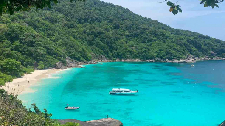 Passeio Similan Islands saindo de Phuket, Tailândia | Tailandiando ...